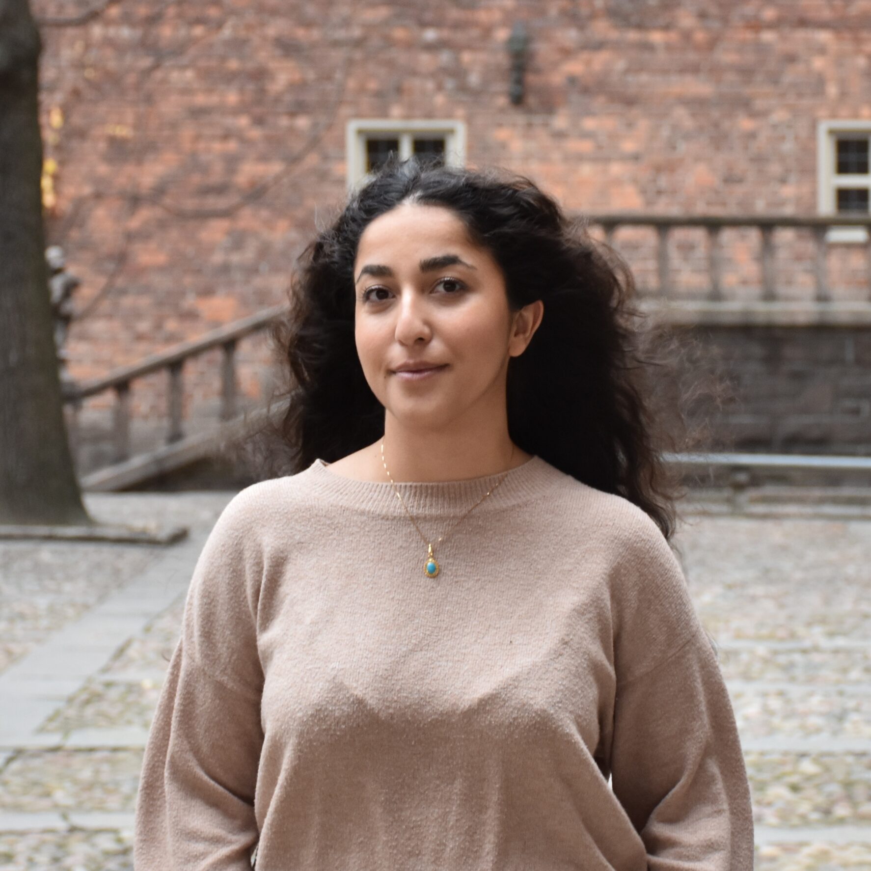 Aida Badeli | Miljöpartiet